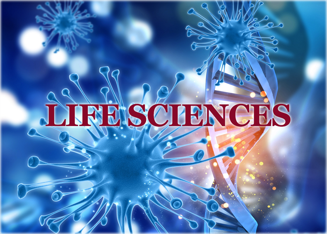 Life Sciences Research Groups